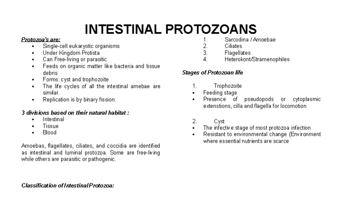Intestinal Protozoans - INTESTINAL PROTOZOANS Protozoa’s are: Single ...