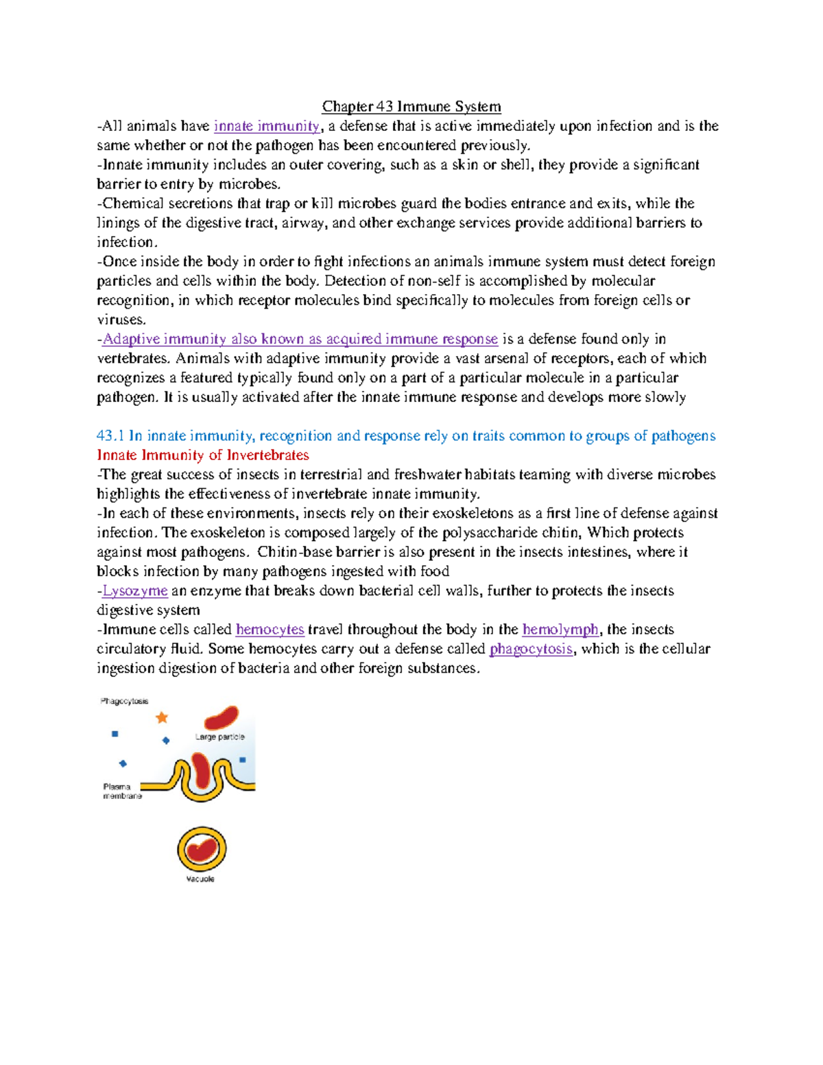 Chapter 43 Immune System - Chapter 43 Immune System -All animals have ...