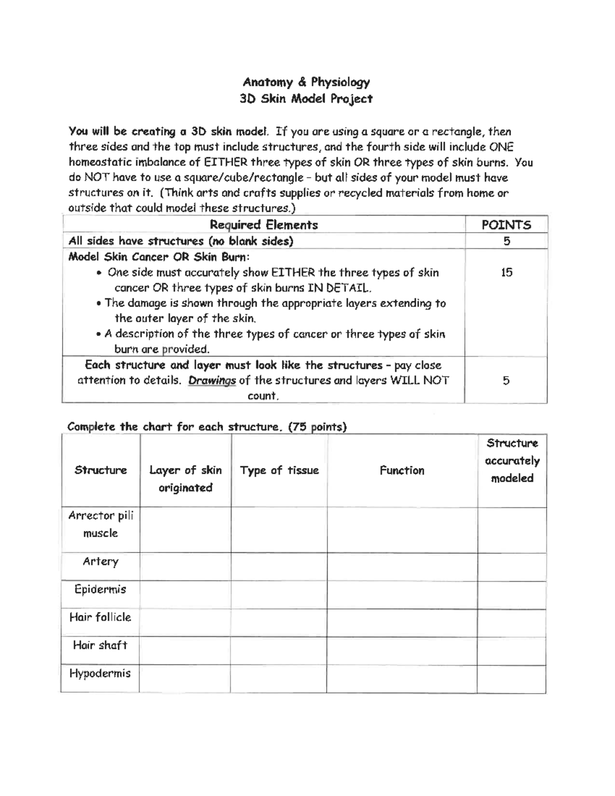 3D Skin Model Project 2020 - anatomi - Studocu