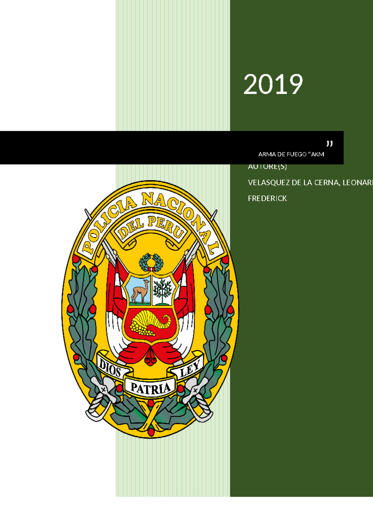 541890439 427581170 AKM PNP - 2019 AUTORE(S) VELASQUEZ DE LA CERNA ...