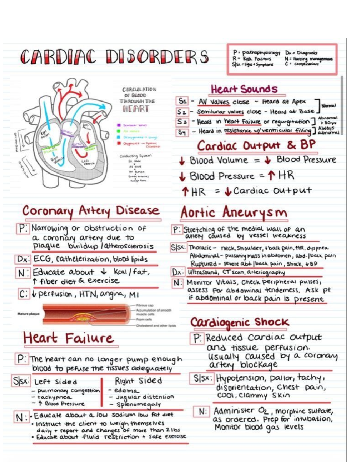 Cardiac Disorders notes - ANAT-210 - Studocu