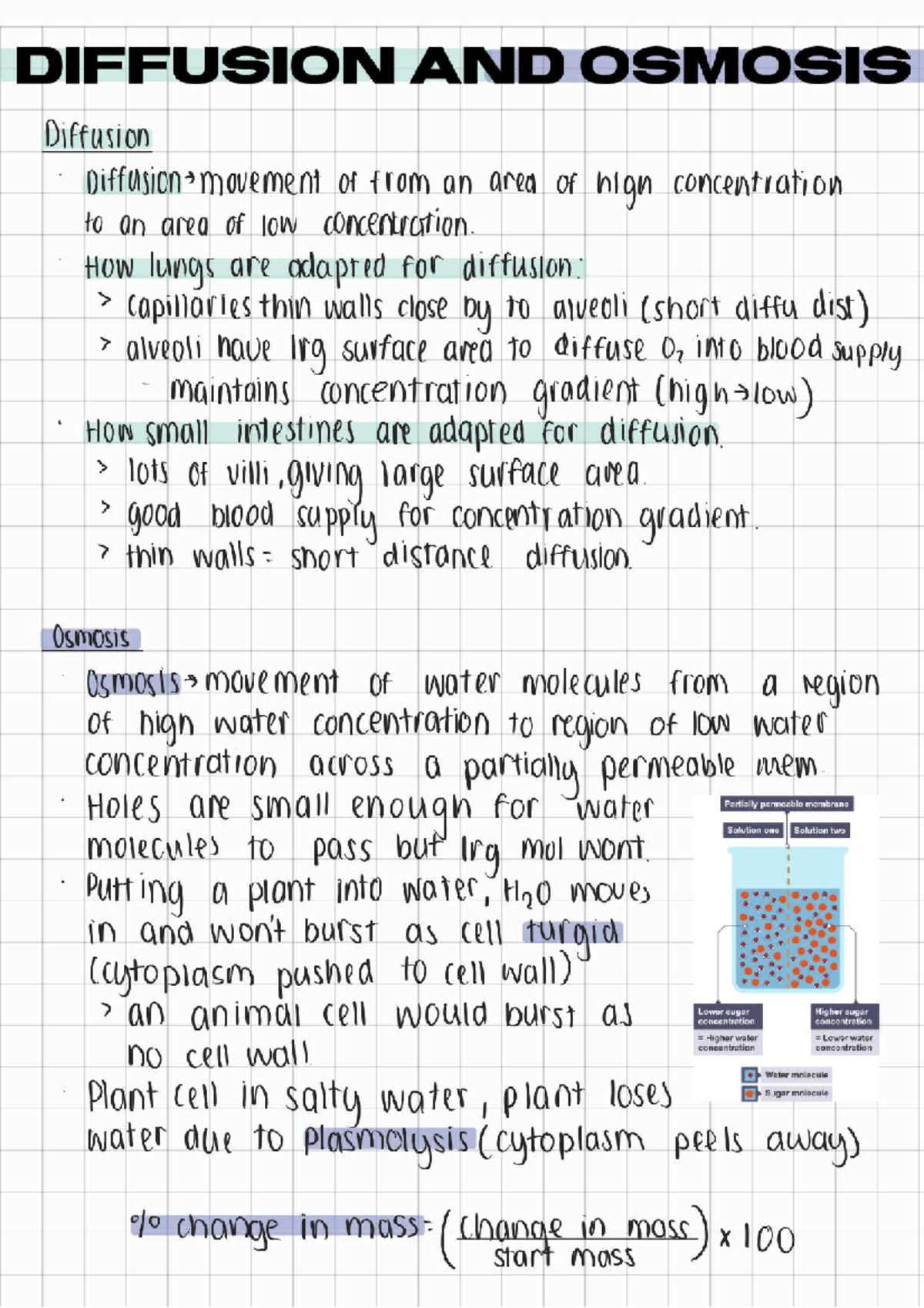 B1 - Cell Biology 231118 121335 5 - DIFFUSION AND OSMOSIS Diffusion ...