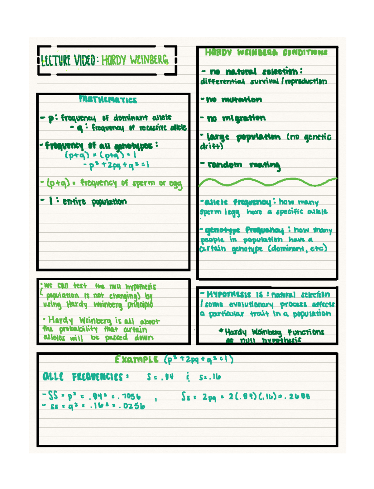 Lecture Video Notes Hardy Weinberg - I F I HARDY WEINBERG CONDITIONS t ...
