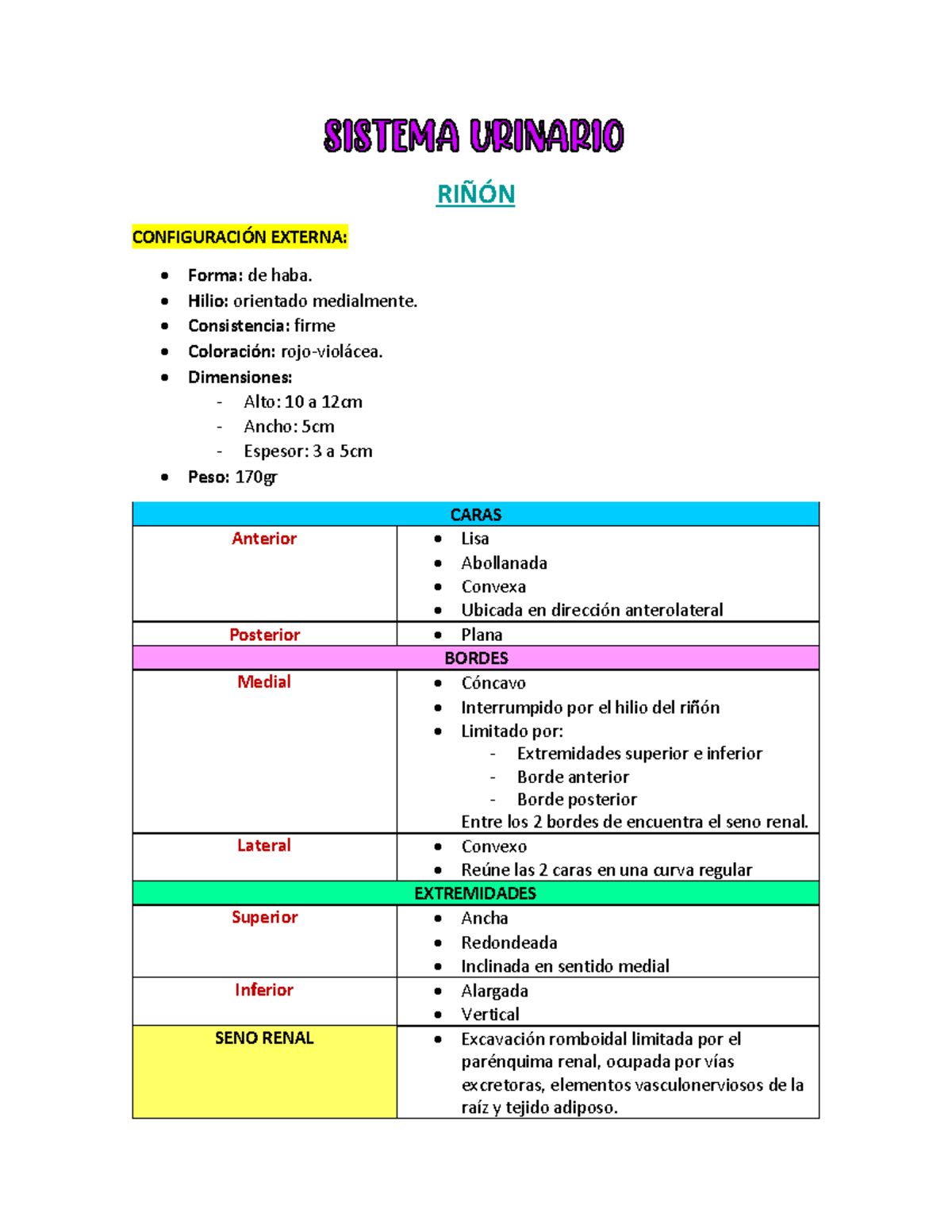 Primer PDF Resumen - RIÑÓN CONFIGURACIÓN EXTERNA: Forma: de haba. Hilio ...