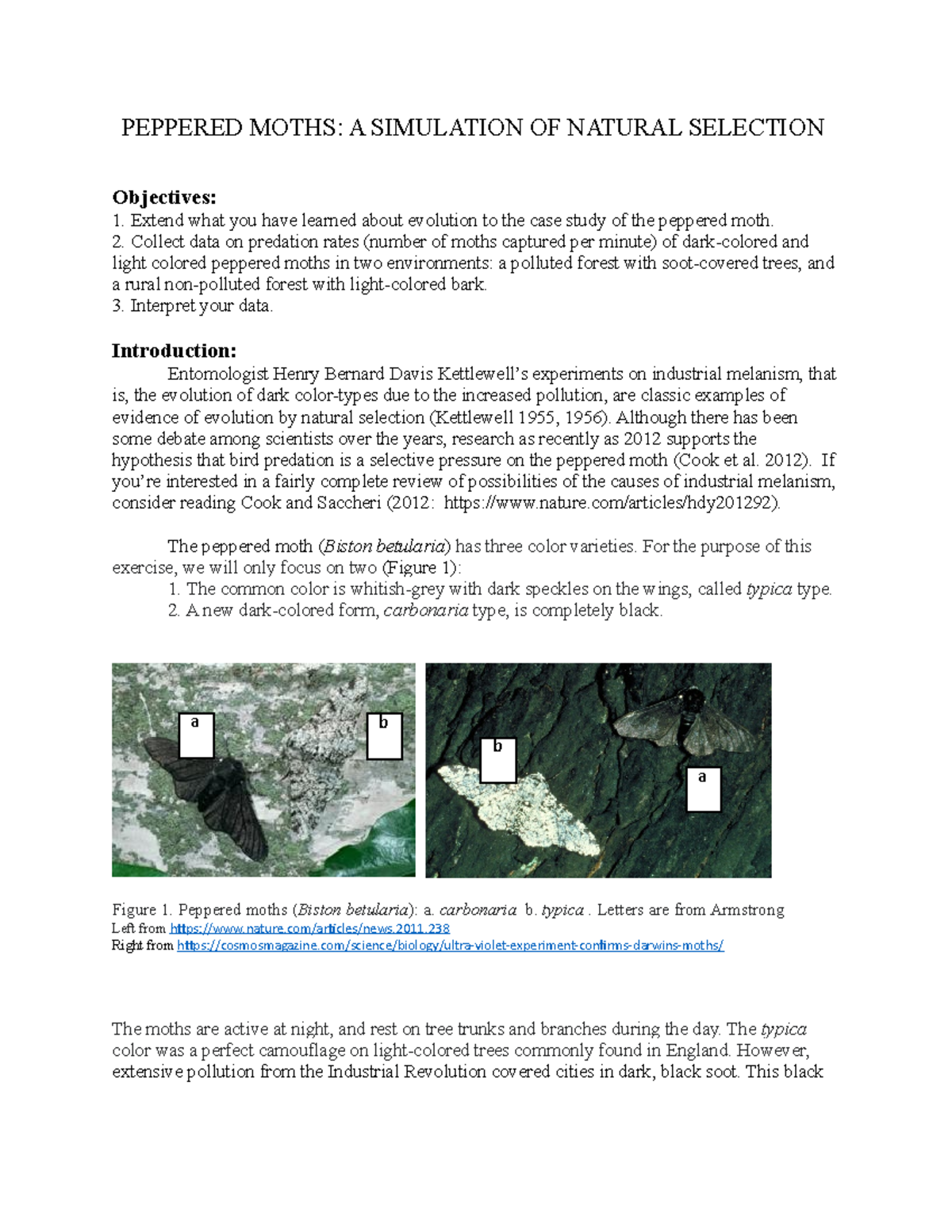 2-17 Peppered Moth Simulation in Nat. Sel - PEPPERED MOTHS: A ...