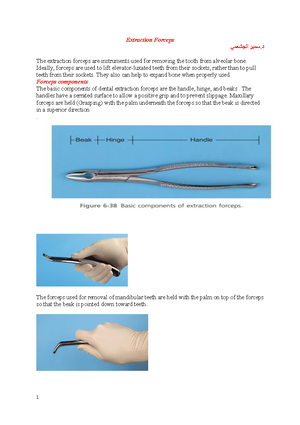 anatomy of the eye - Oral Surgery - Studocu