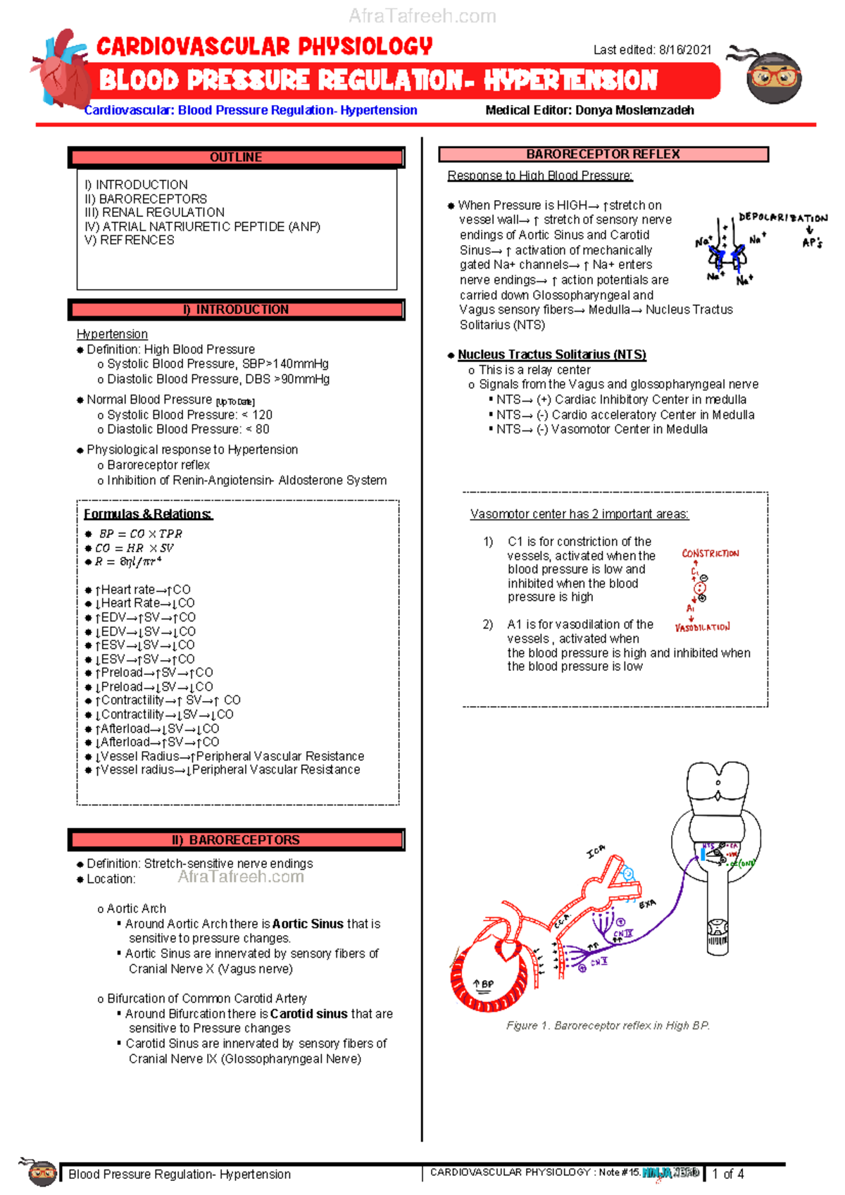blood pressure notes - Blood Pressure Regulation- Hypertension ...