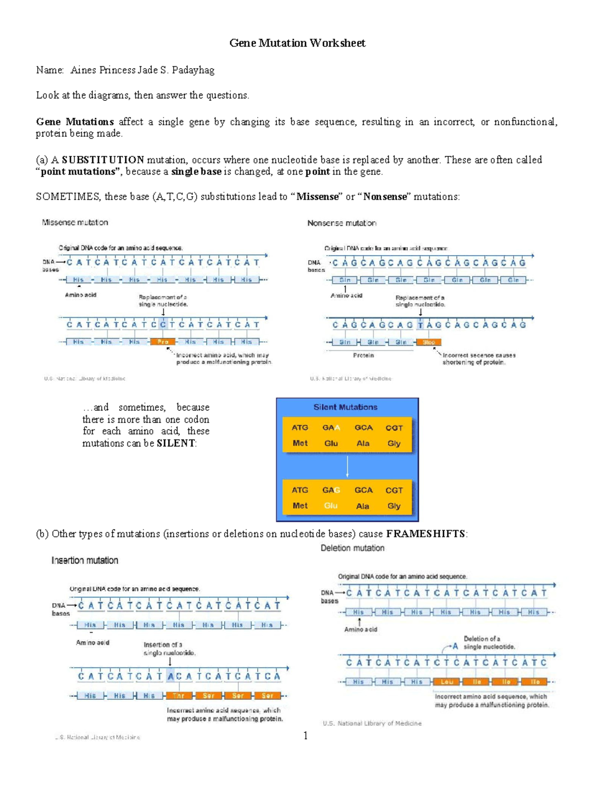 LAB 5 - Gene Mutation - Gene Mutation Worksheet Name: Aines Princess ...