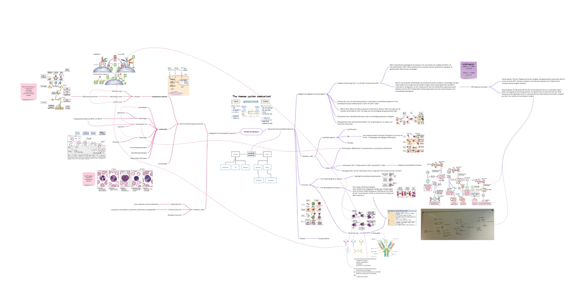 Concept map-2 - Digestion and Defense I - The immune system summarized ...