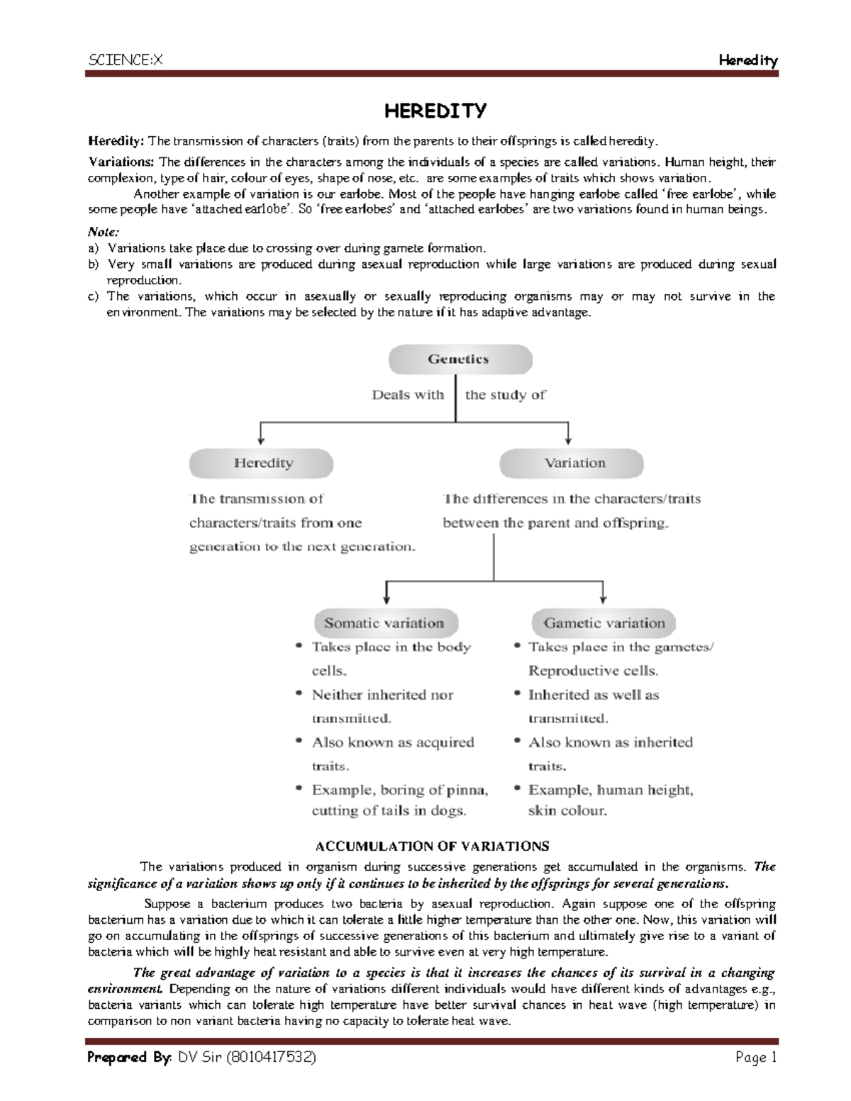 Heredity notes - Yes - HEREDITY Heredity: The transmission of ...