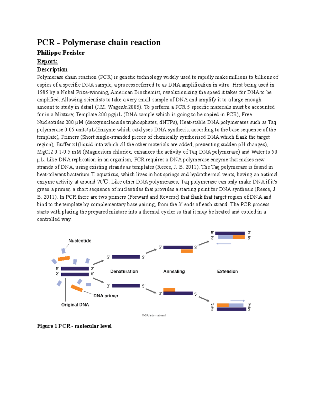AT-2 PCR Bio - ljas;fihen[oi - PCR - Polymerase chain reaction Philippe ...