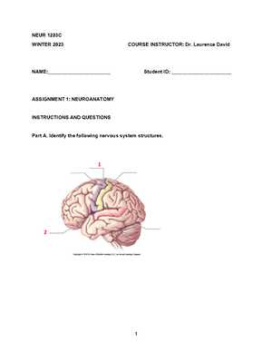 PHYS 1008- Oscilloscope - Lab 2 print - Warning: TT: undefined function: 32 Carleton University ...
