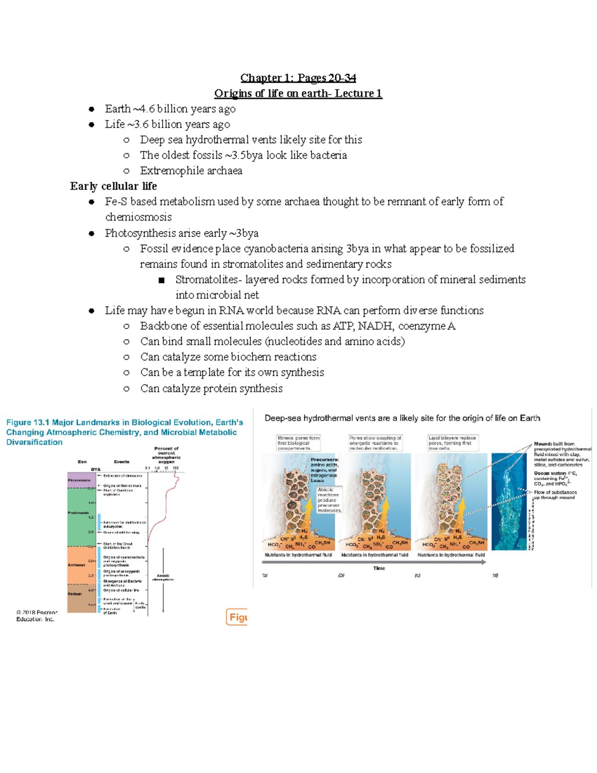 Microbiology Exam 1 material - Chapter 1: Pages 20- Origins of life on ...