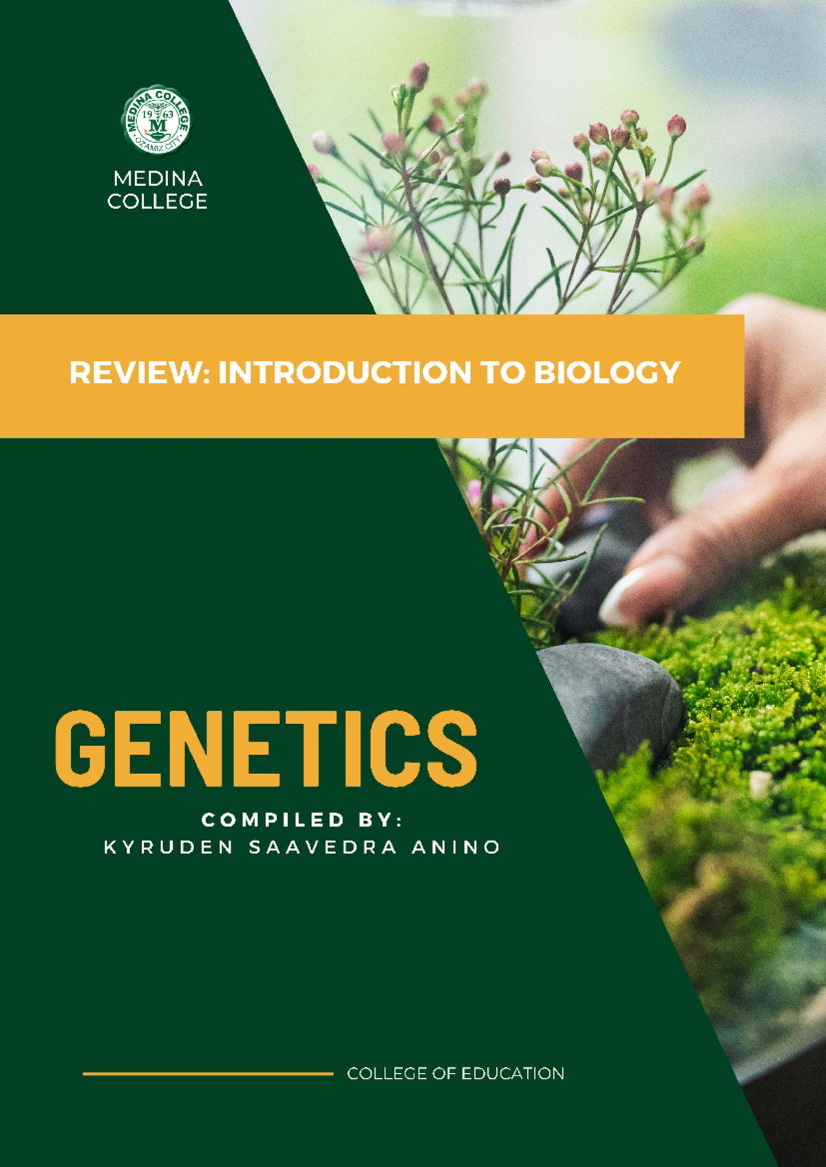 Lesson 1. part 1 - Introduction to biology - Fig. 2. A hierarchy of ...