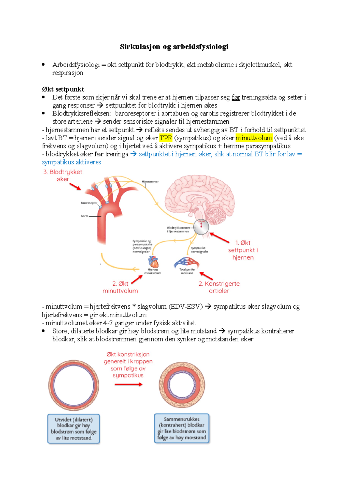 Sirkulasjon og arbeidsfysiologi - økt ATP-forbruk for gi økt ...