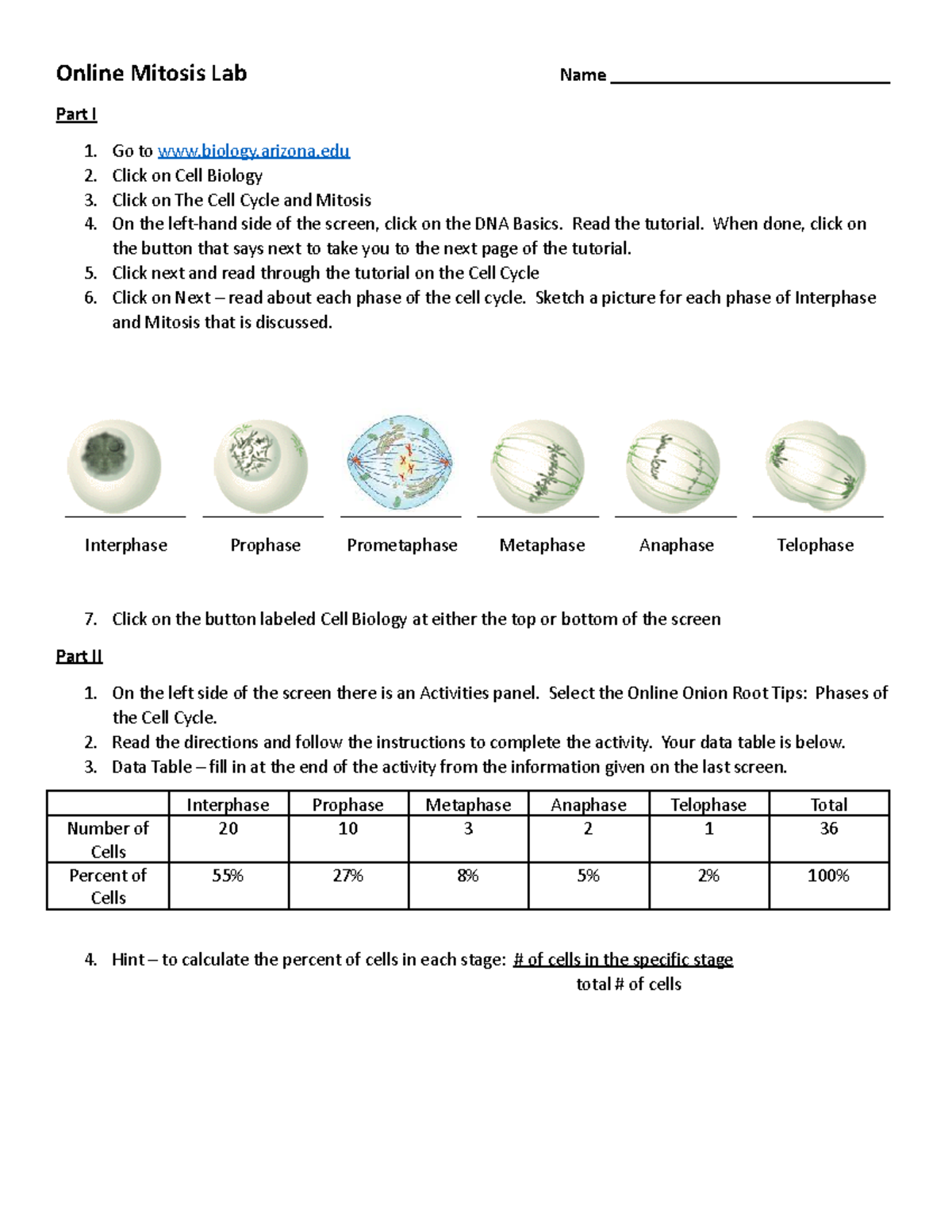 Online Mitosis Lab - Go to biology.arizona 2. Click on Cell Biology 3 ...
