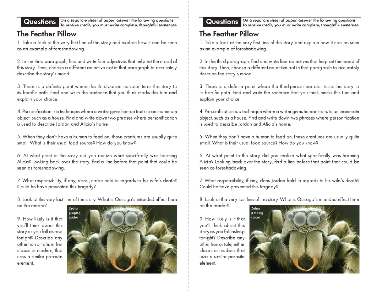 The Feather Pillow Questions - 1. Take a look at the very first line of ...