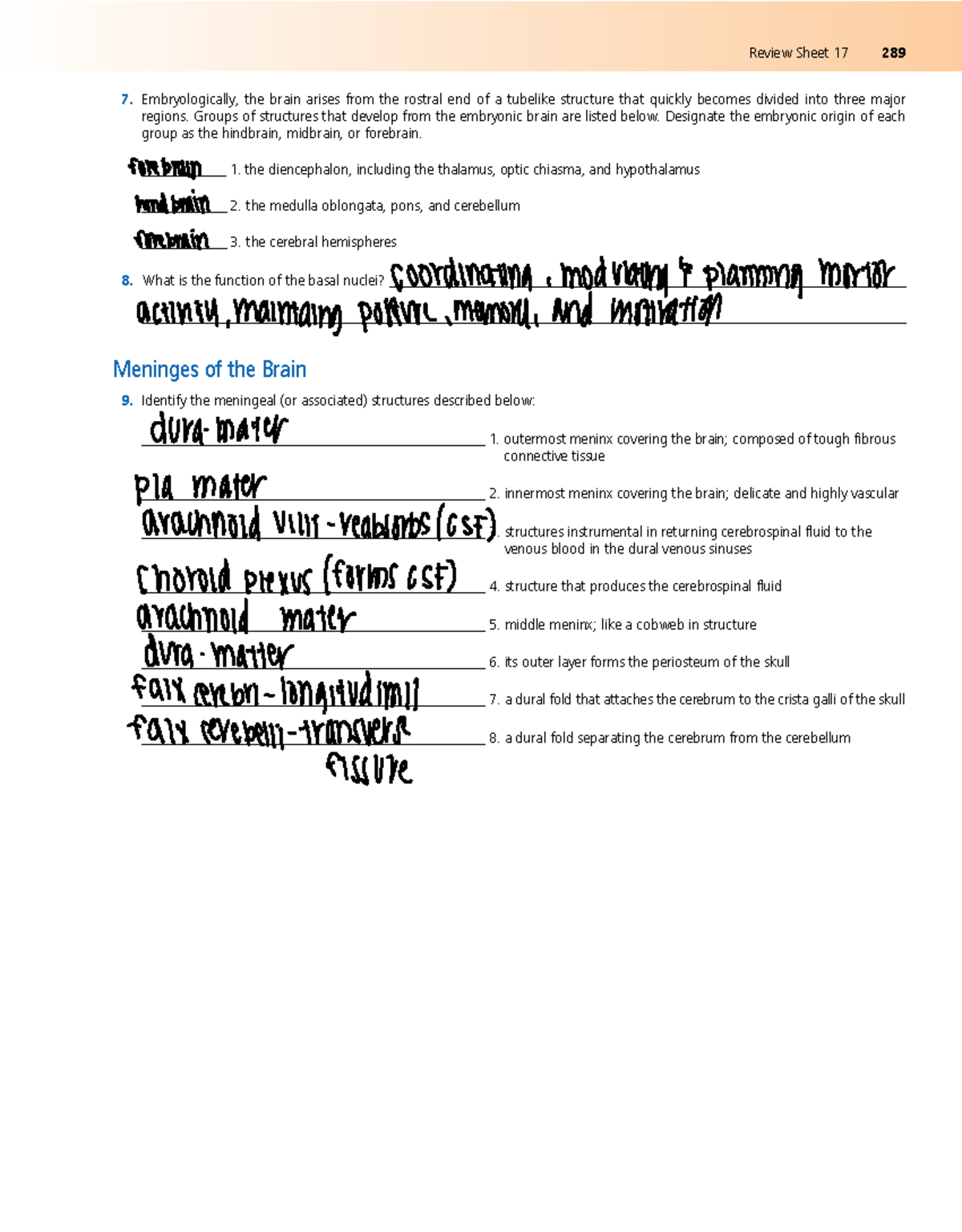 Week 4 Lab Work -pages-3 - Review Sheet 17 289 7. Embryologically, the brain arises from the ...