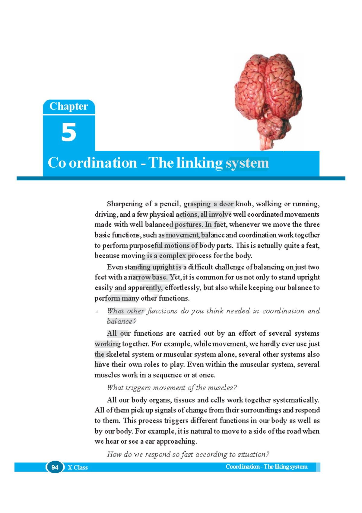 10th Class-TS-EM-Biology-5-Coordination- The linking system - 94 X ...