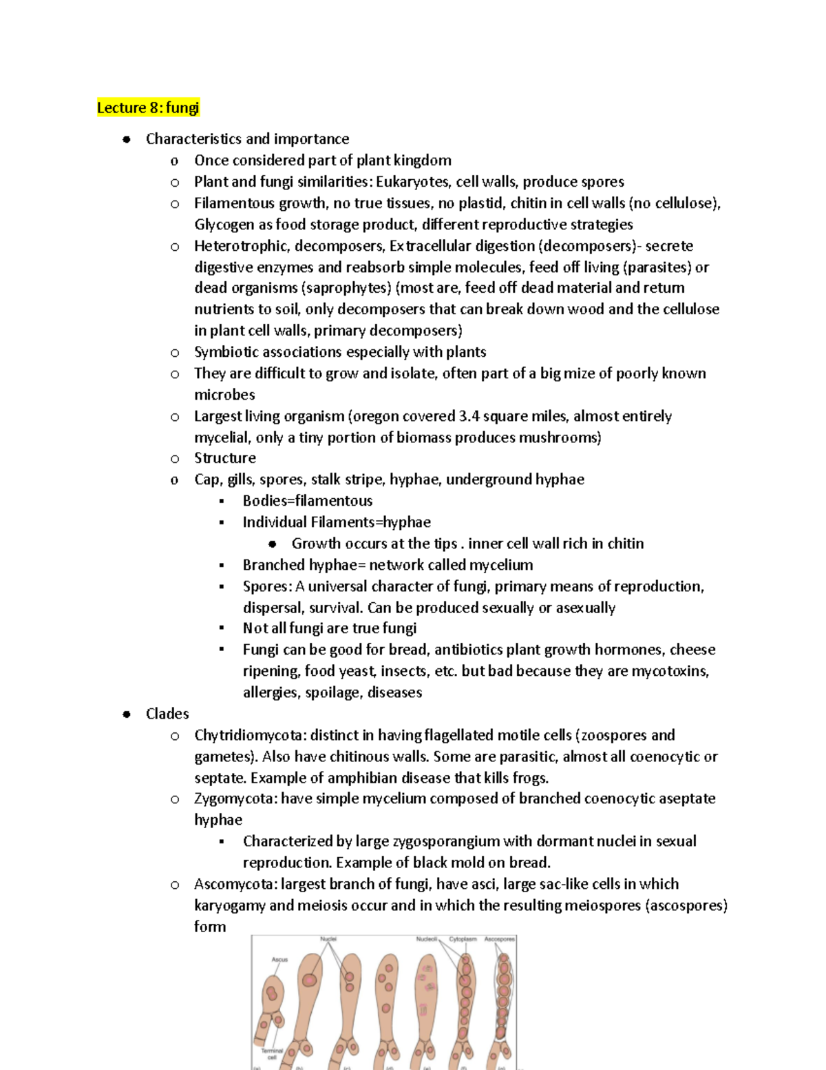BIO 230 LECT 8 - Lecture notes 8 - Lecture 8: fungi Characteris tics ...