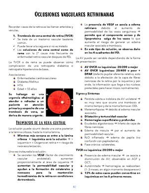1. Histología y fisiología de la retina - El globo ocular se divide en ...