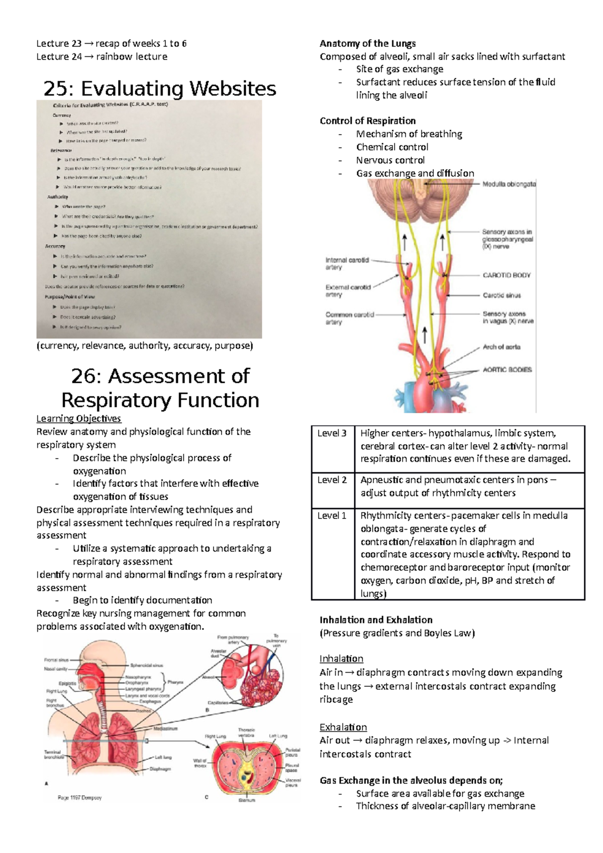 Lectures 23-26 nurs - Lecture 23 recap of weeks 1 to 6 Lecture 24 ...