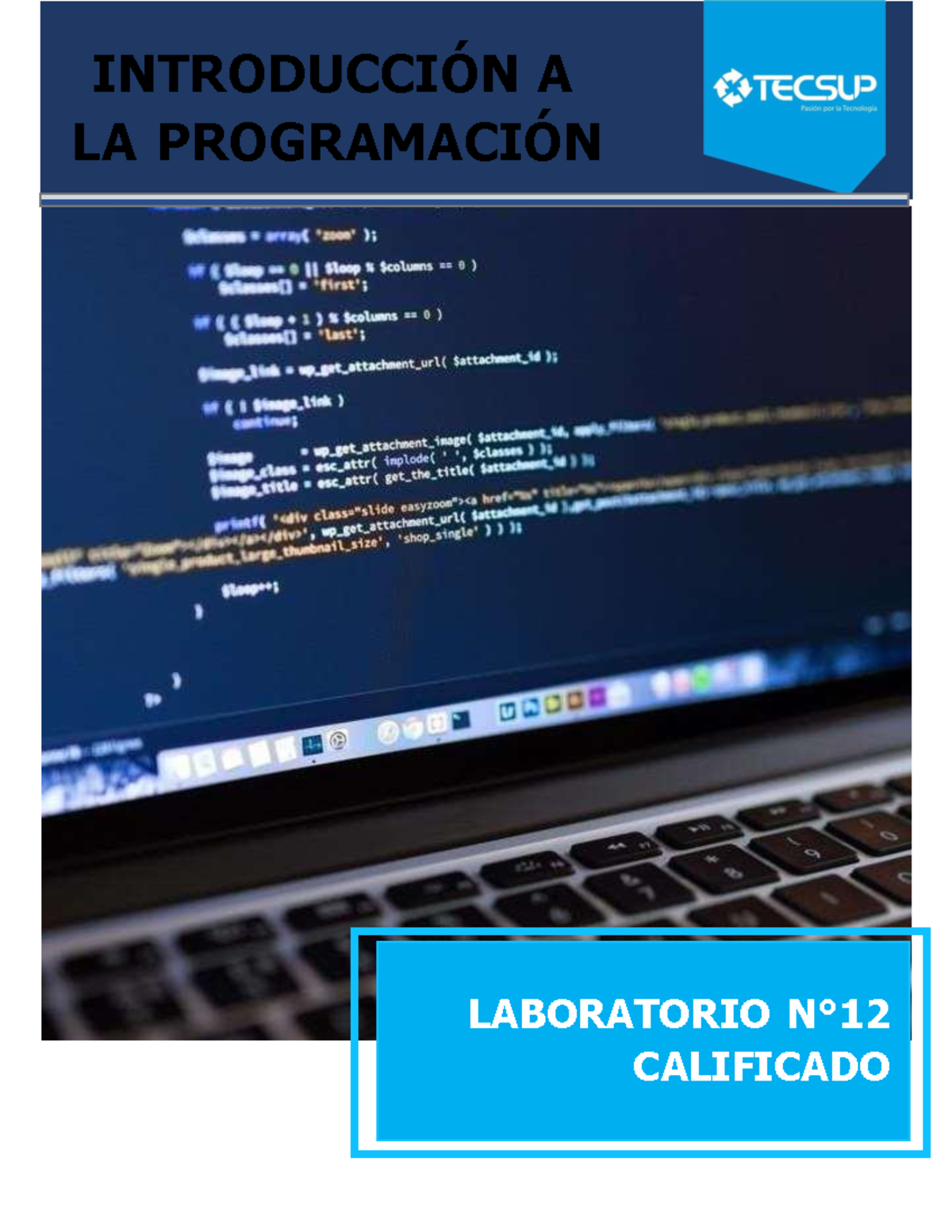 Lab12 Mamani Alex Sandro - LABORATORIO N∞ CALIFICADO INTRODUCCI”N A LA PROGRAMACI”N Alumnos: 1 ...