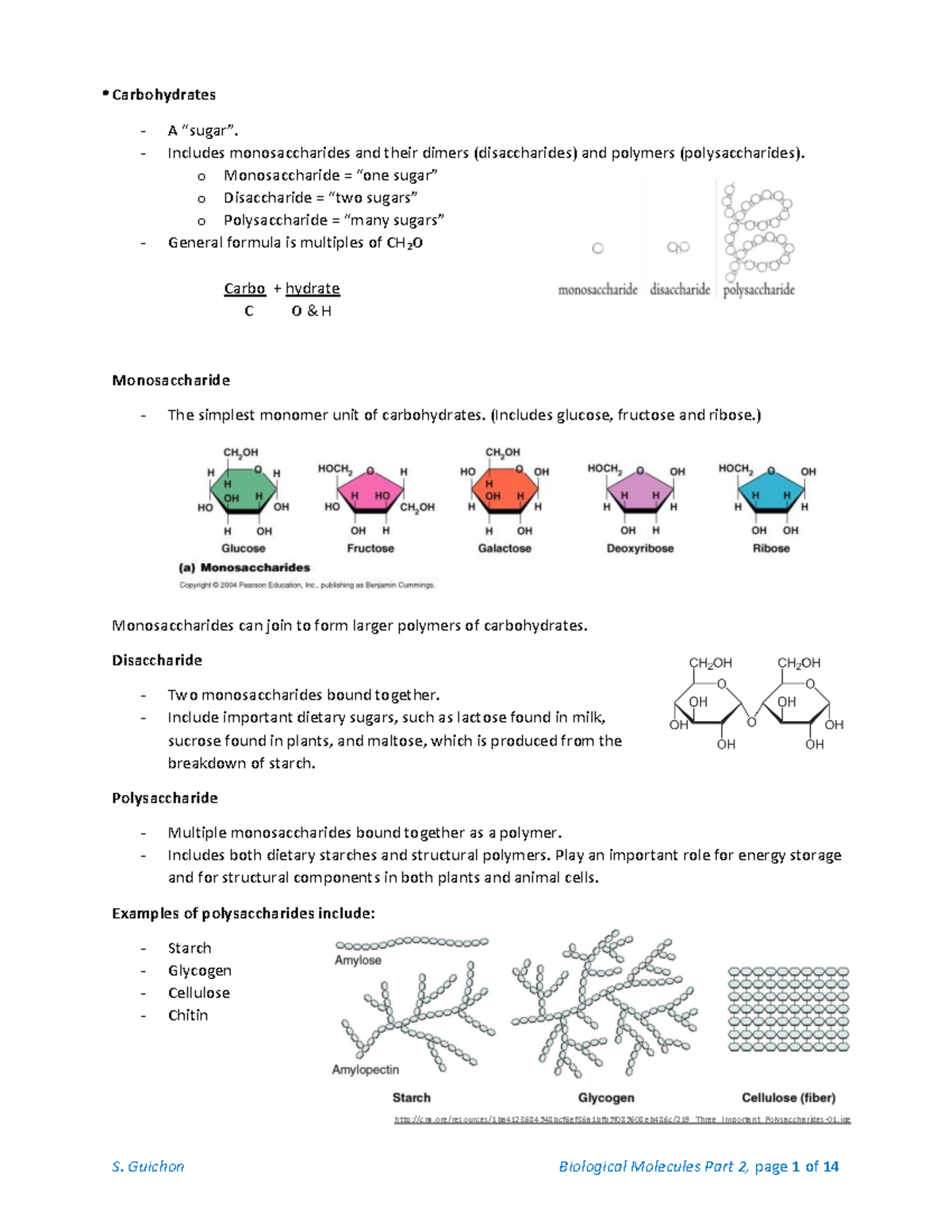 Biological Molecules - Handout 2 copy - Carbohydrates A “sugar ...