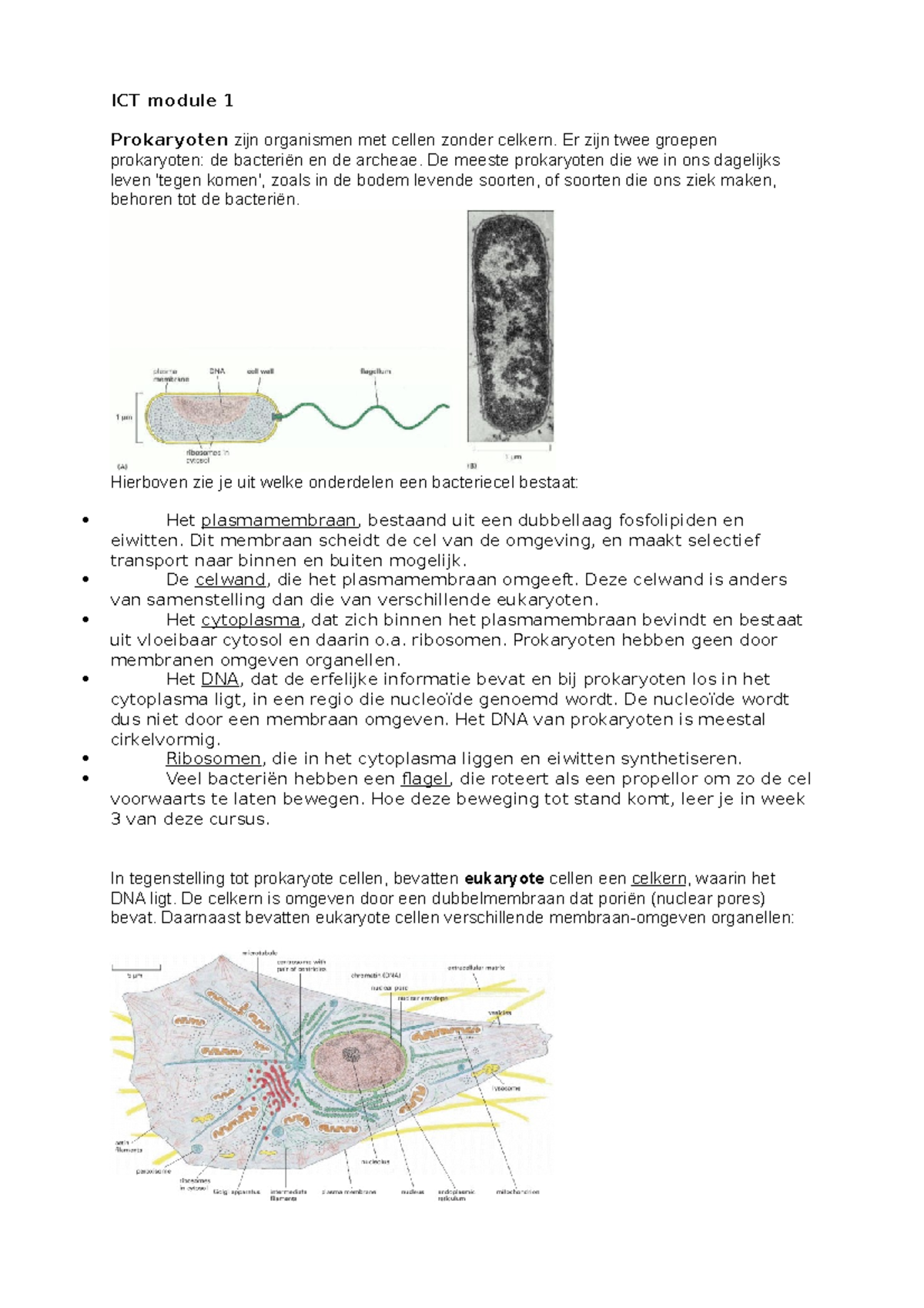 Ict module 1 - ICT module 1 - Studeersnel