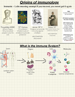 Lecture 2 Introduction to the immune system - Lecture 2 Different types ...
