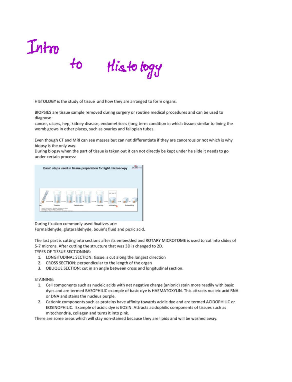 Intro to histology - notes summarised - UM1010 - Intro to Histology ...