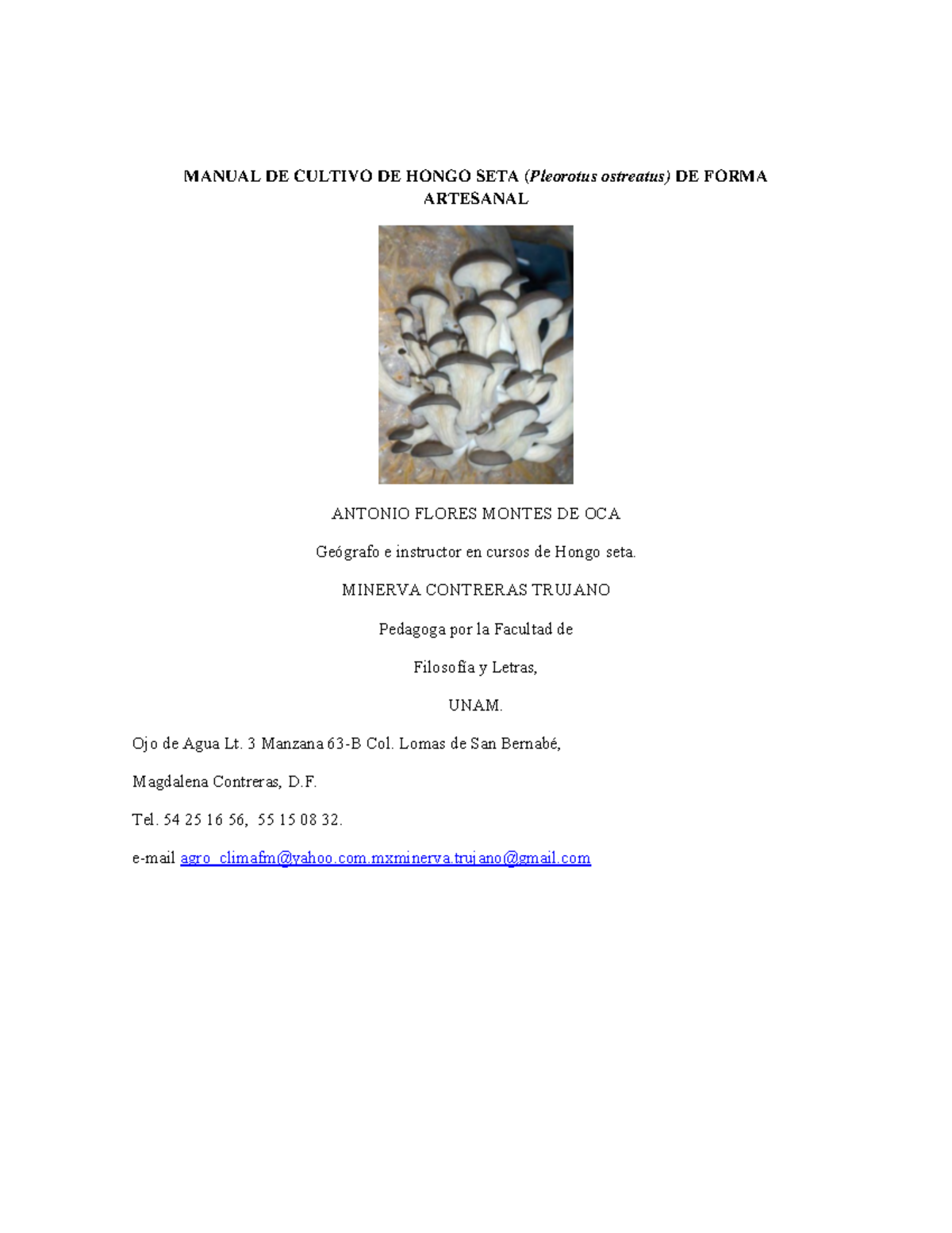 Cultivo de hongo seta - producción de setas - MANUAL DE CULTIVO DE ...