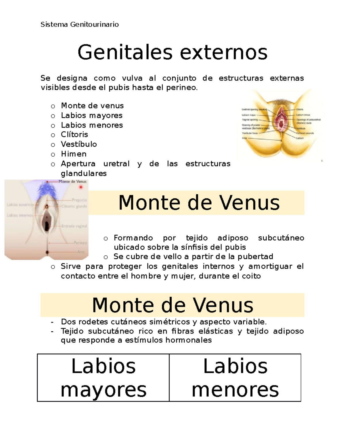 Sistema Genito Parcial 2 - Genitales externos Se designa como vulva al ...