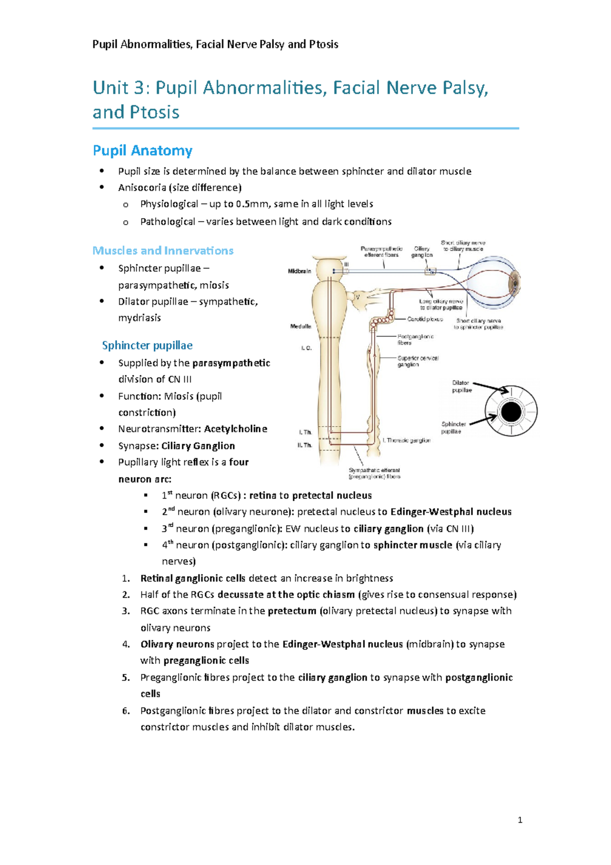 3. Pupil Abnormalities, Facial Nerve Palsy and Ptosis - Pupillary light ...