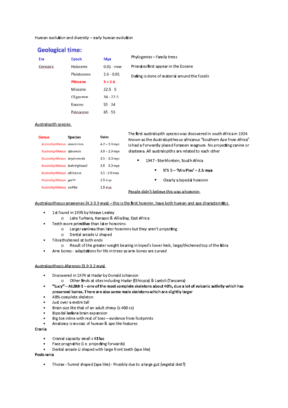 Lecture 11 - Human evolution and diversity - Human evolution and ...