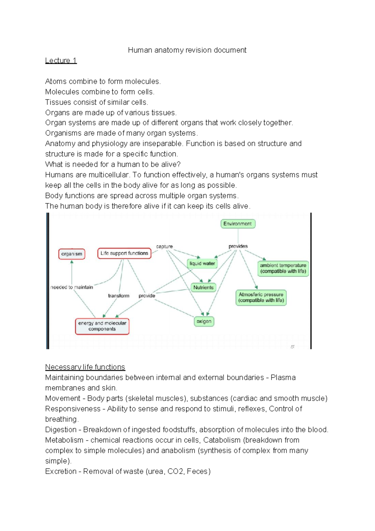 Human anatomy revision - Molecules combine to form cells. Tissues ...