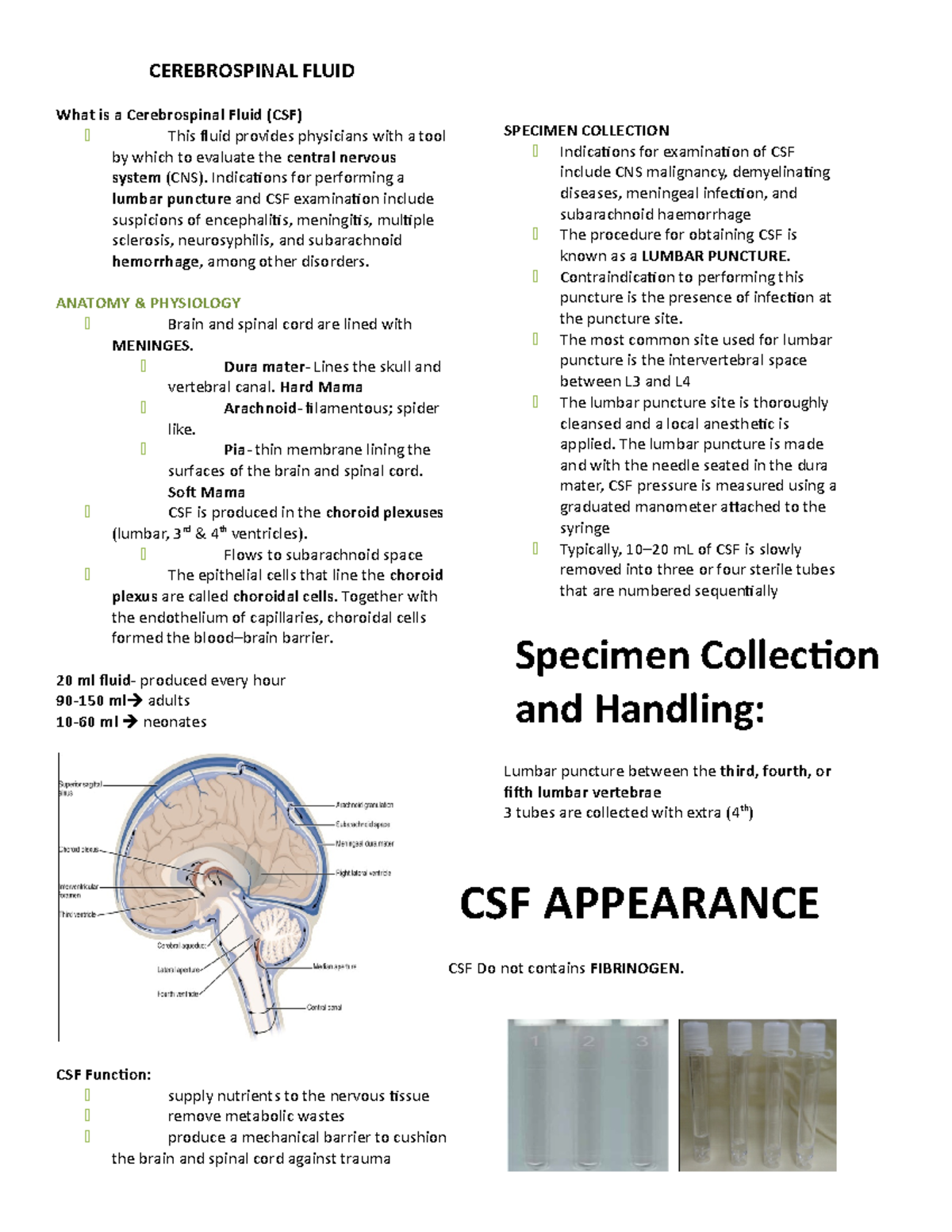 9 Cerebrospinal- Fluid - Indications for performing a lumbar puncture ...