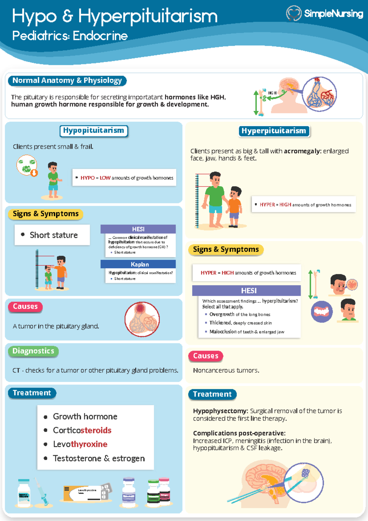 1. Hypo & Hyperpituitarism - Hypo & Hyperpituitarism Pediatrics ...
