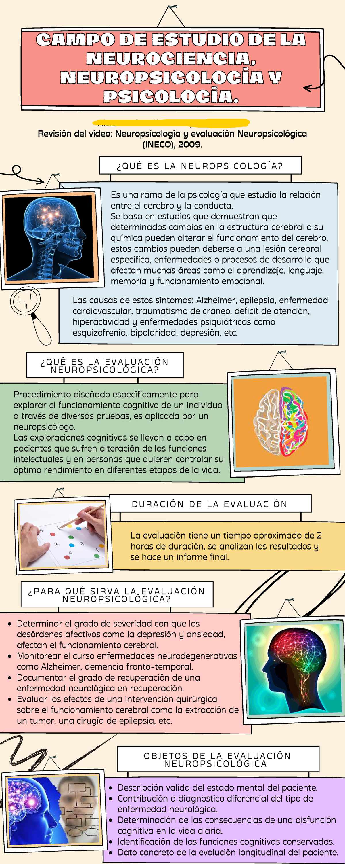 Infografía Neuropsicología y evaluación Neuropsicológica - ¿ Q U É E S ...