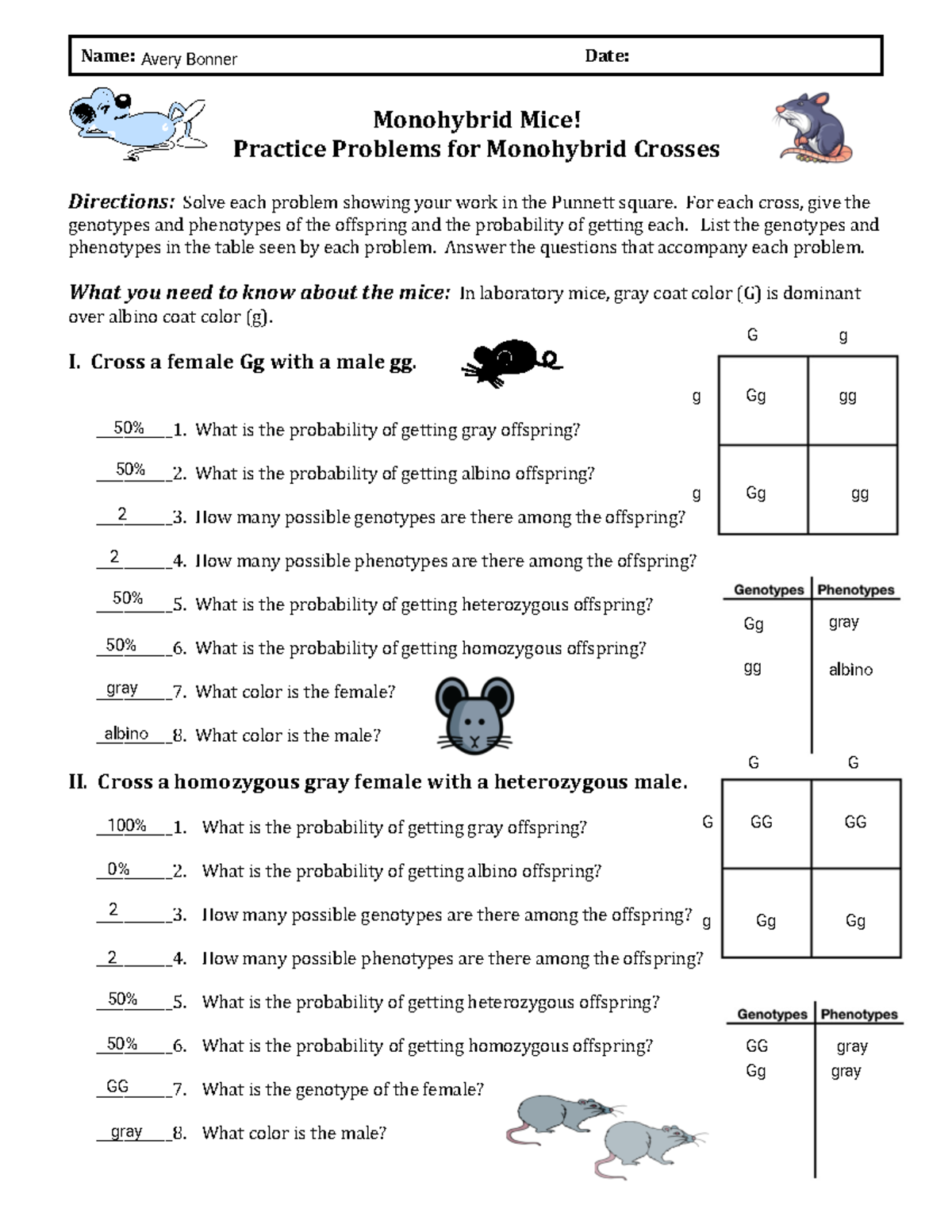 Kami Export - Avery Bonner - Monohybrid Mice v1 - © Amy Brown Science ...