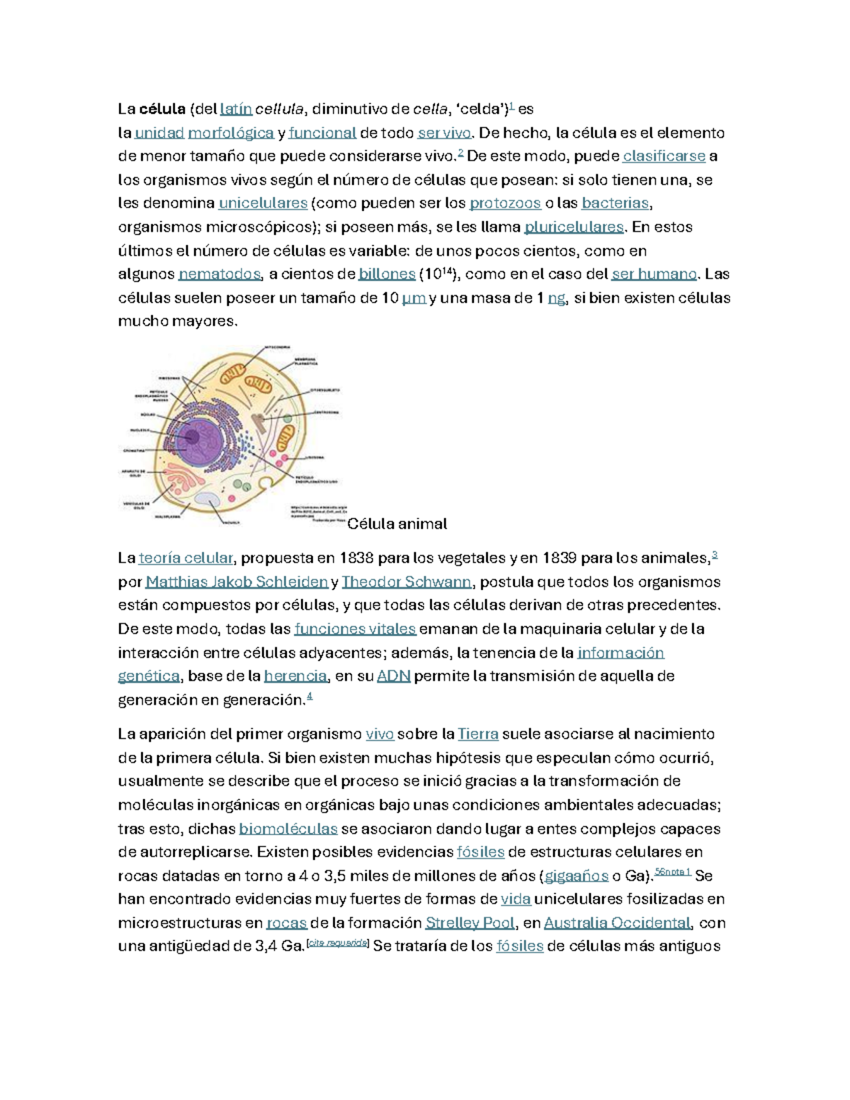 Ceulas Madres - Tipos de celulas y sus funciones - La célula (del latín ...