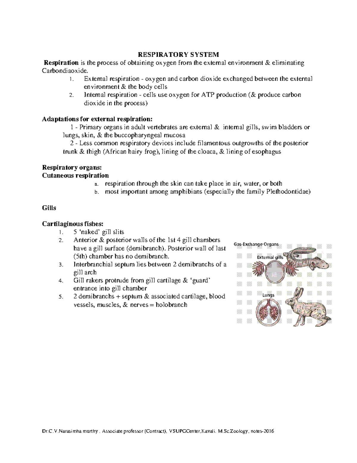 Respiratory System Notes anatomy - RESPIRATORY SYSTEM Respiration is ...