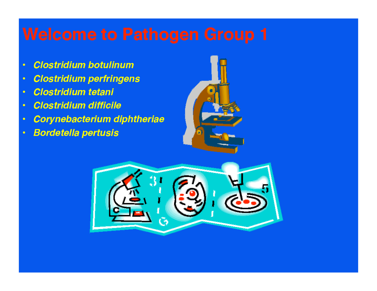 Pathogengroup 1fall11 - Welcome to Pathogen Group 1 Clostridium ...