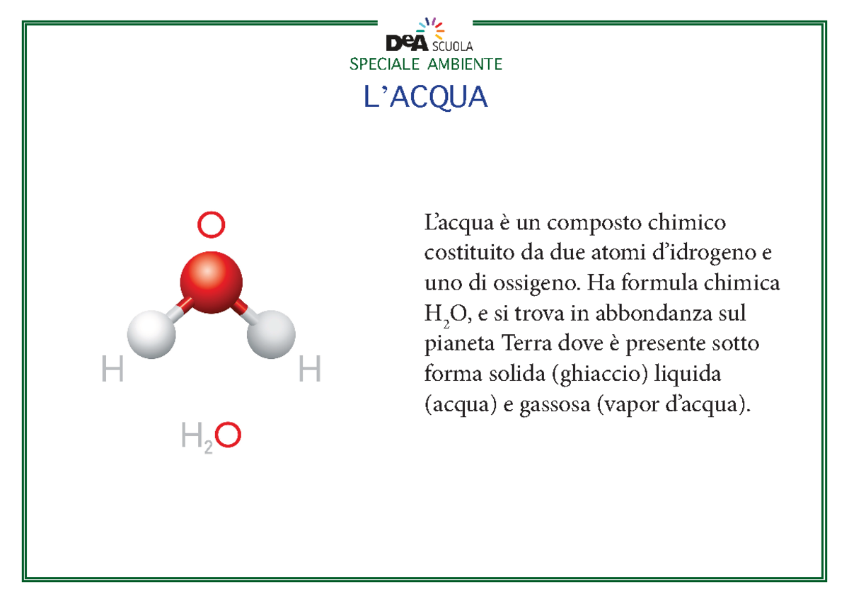 Identikit-Acqua - La scienza, ambiente, biologia - L’acqua è un ...