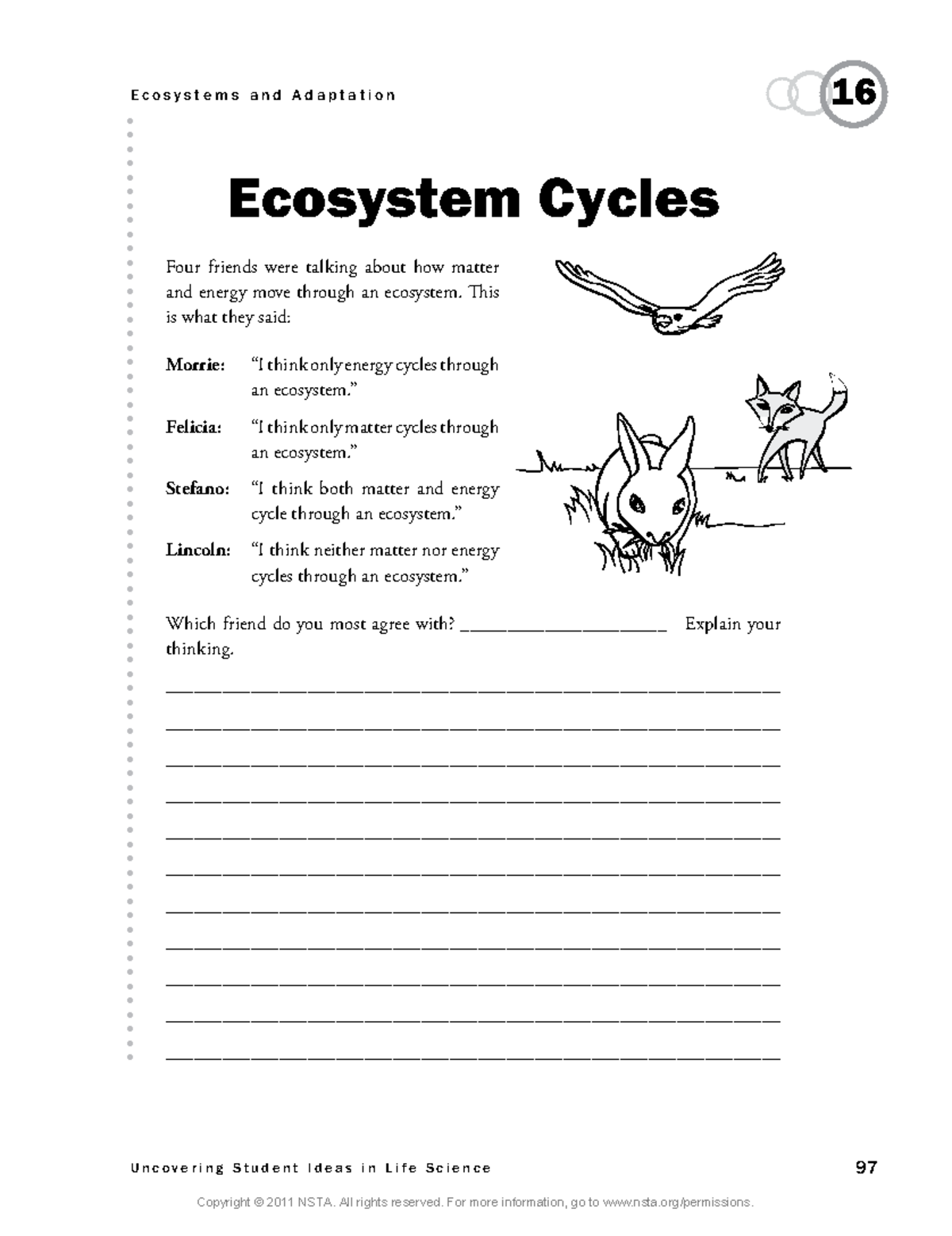 Ecosystem Cycles - Cómo saber hacer - U n c o v e r i n g S t u d e n t ...