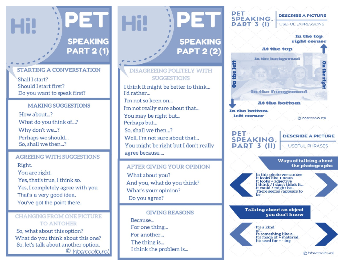 Pet part 2 expressions - PET PET PET DESCRIBE A PICTURE Hi! SPEAKING ...
