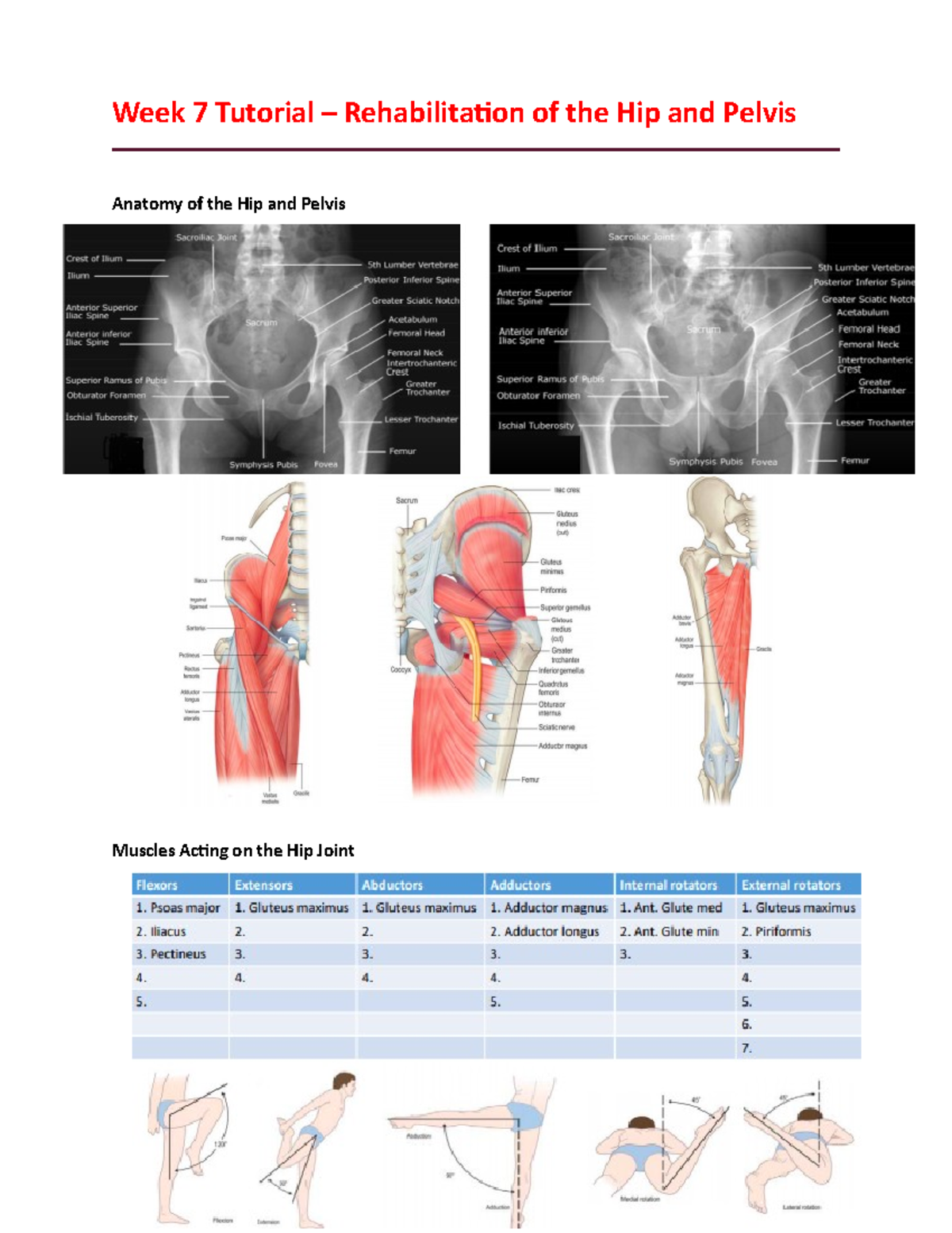 Week 7 Tutorial – Rehabilitation of the Hip and Pelvis - Week 7 ...