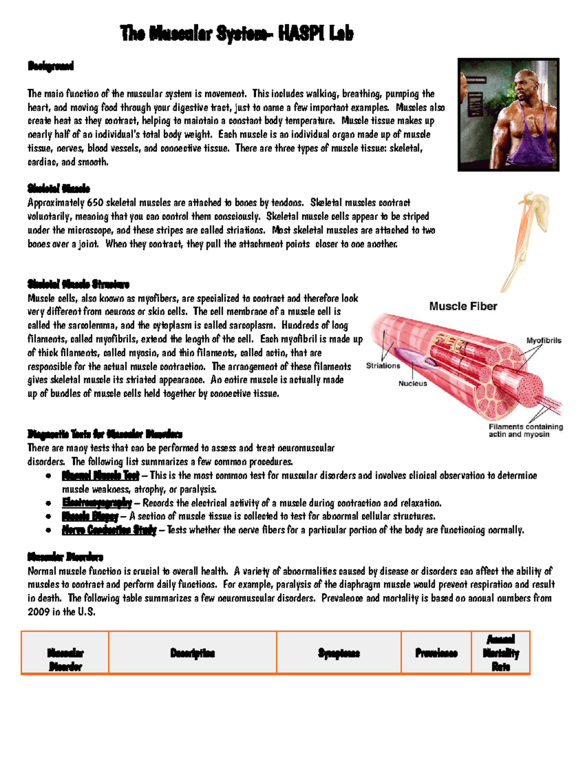 Gulnaaz Dravida - Muscular System Lab 22-23 - The Muscular System ...