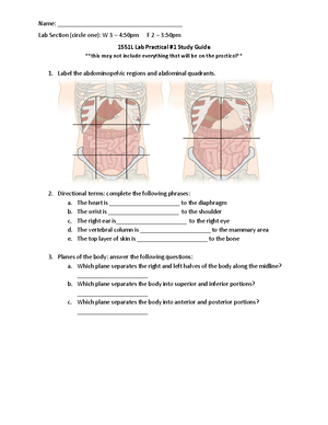 Anatomy Exam 3- review - Anatomy Exam 3 Chapter 9: Joints Classify ...