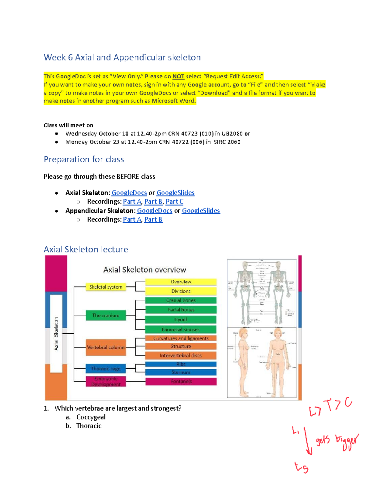 Lecture skeleton - Notes - Week 6 Axial and Appendicular skeleton This ...